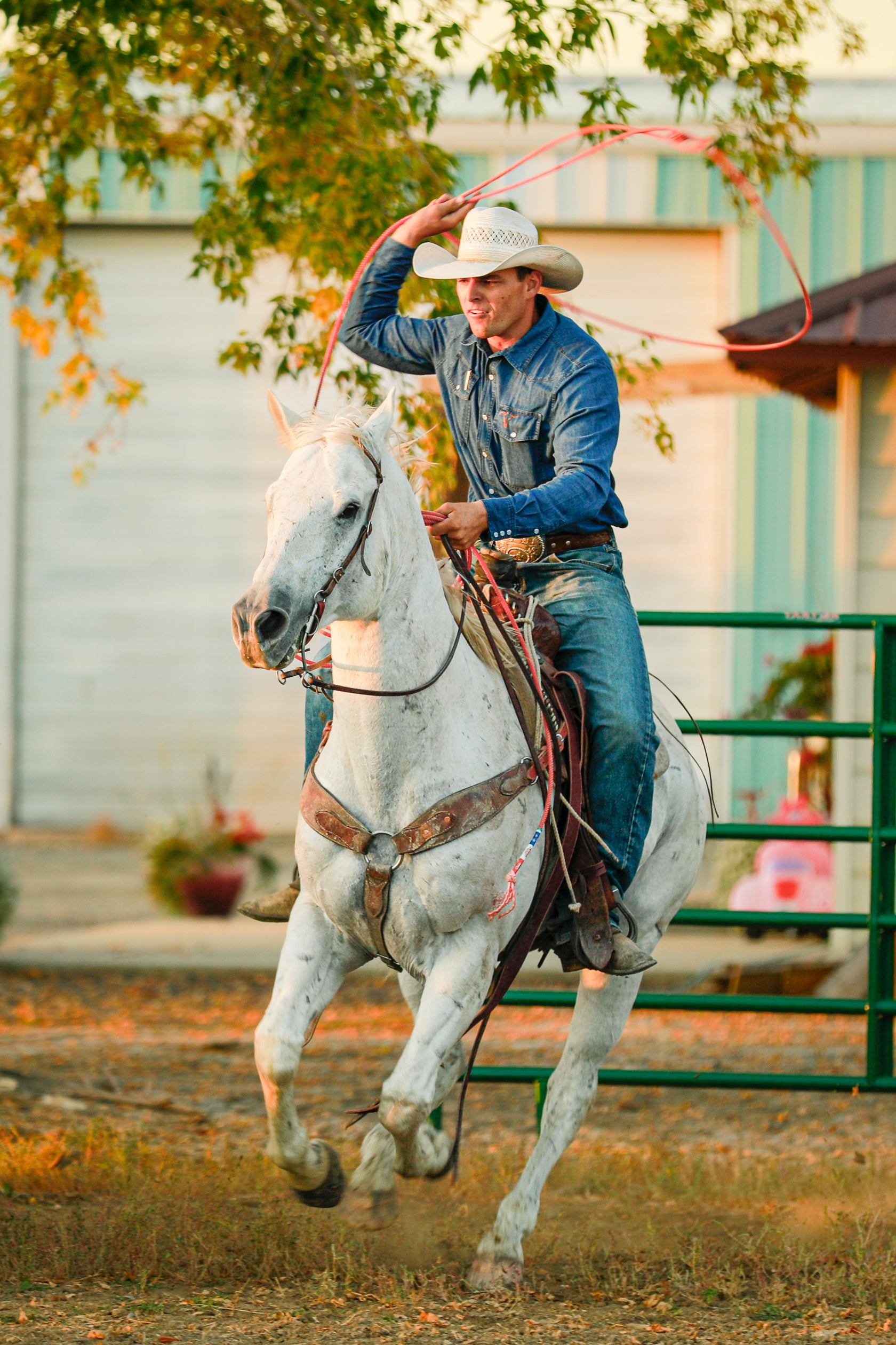 The Big Sky – Cow Boss Ranchwear